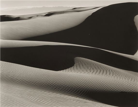 Edward Weston | SUCCULENTS (1930) | MutualArt