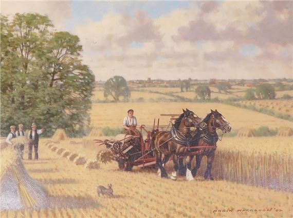 Robin Wheeldon | Whoa Steady | MutualArt