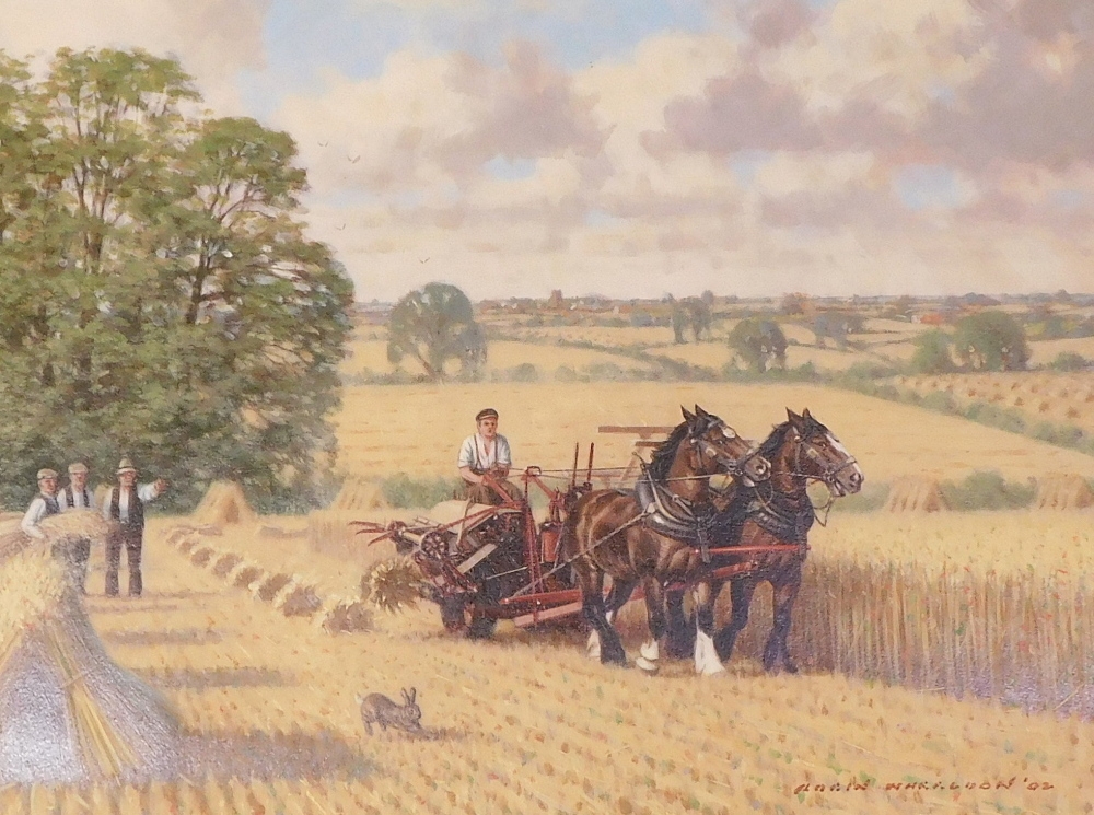 Robin Wheeldon | Whoa Steady | MutualArt