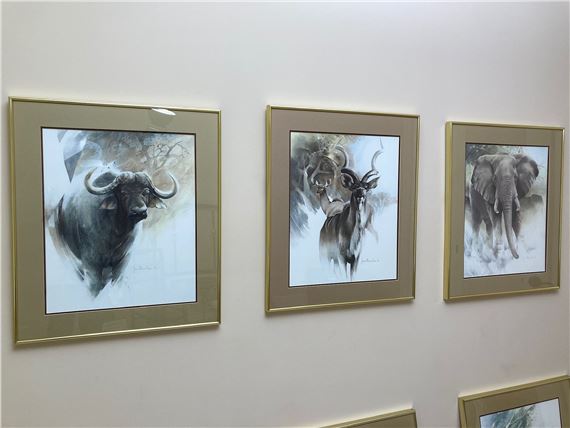 Joan Beuche | Vintage Signed South African Animal Prints by Joan Beuche ...