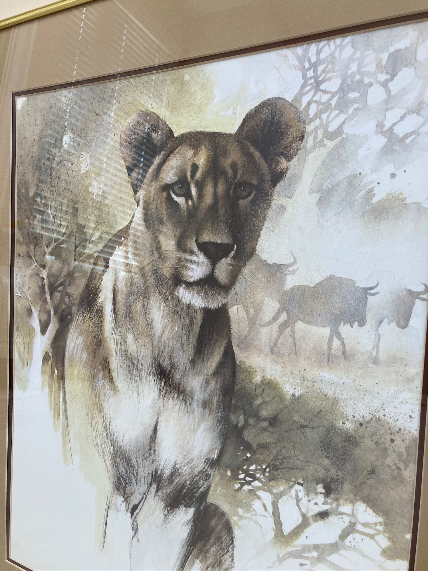 Joan Boucher | Signed South African Animal Prints by Joan Boucher (Set ...