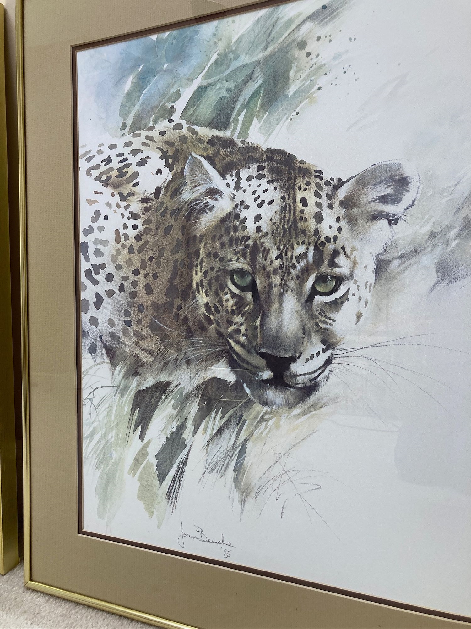 Joan Boucher | Signed South African Animal Prints by Joan Boucher (Set ...