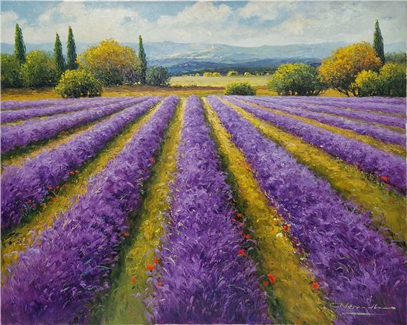 Gerhard Nesvadba | Lavender fields | MutualArt