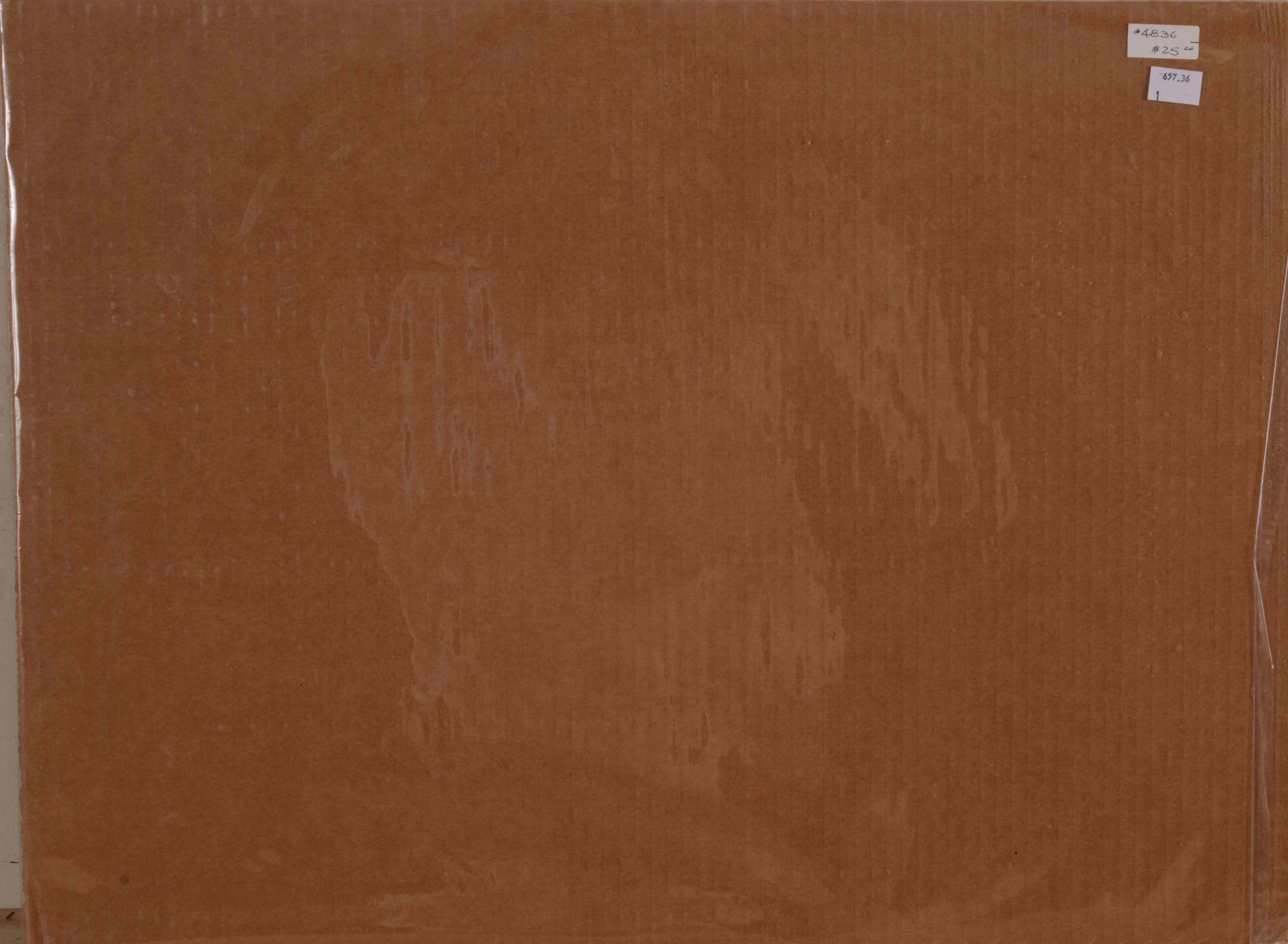 Neil Grossman | FOUR POSTER PHOTOGRAPHS OF THE COMET HALE-BOPP | MutualArt