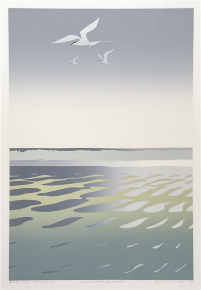 Malcolm Warr | Terns Fishing (1985) | MutualArt