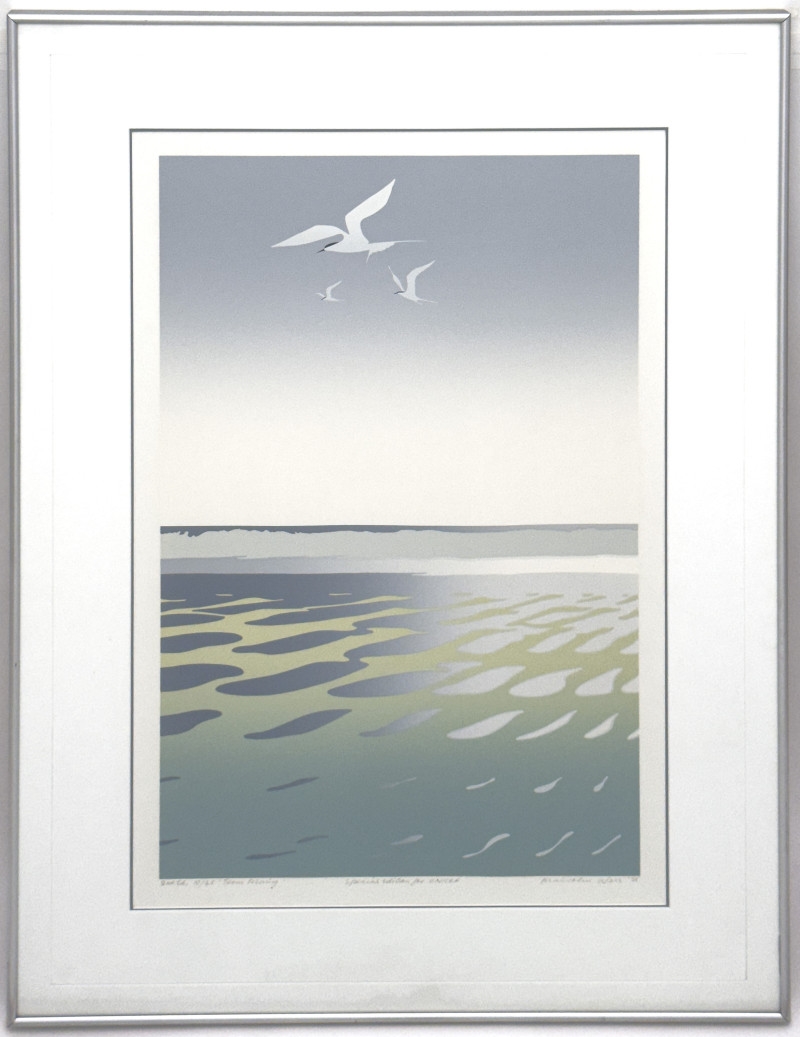 Malcolm Warr | Terns Fishing (1985) | MutualArt