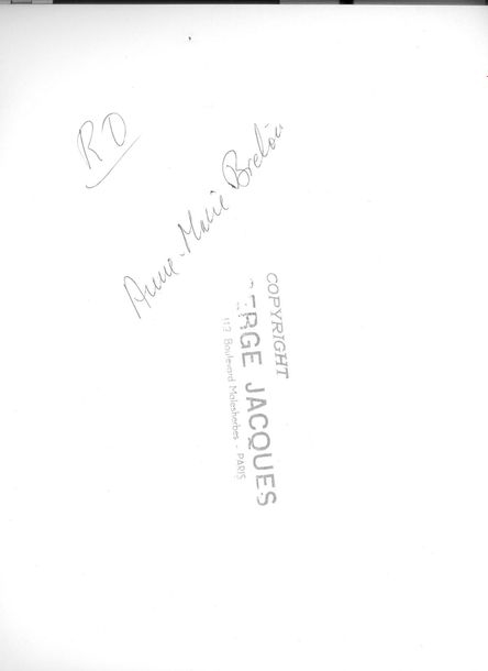 Serge Jacques | Anne-Marie in the garden | MutualArt