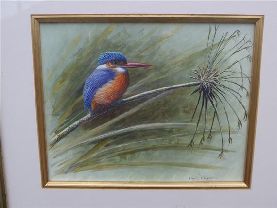 Mark Chester | Kingfisher | MutualArt