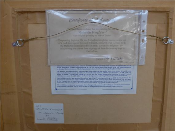 Mark Chester | Kingfisher | MutualArt