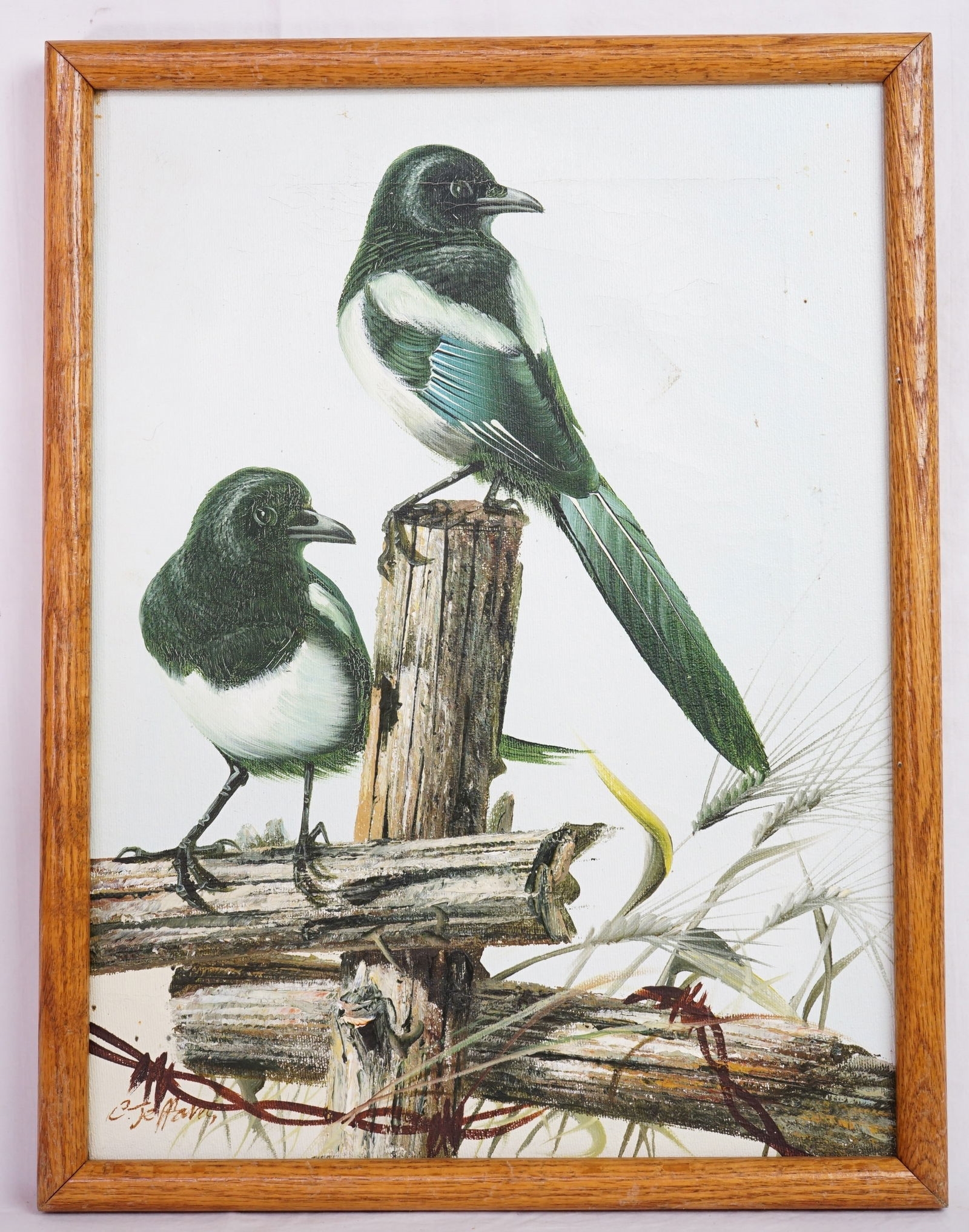 C. Jeffares | Magpies-C | MutualArt