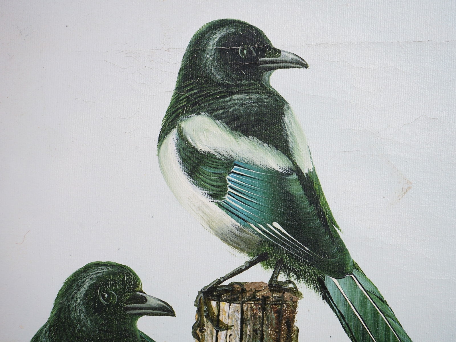 C. Jeffares | Magpies-C | MutualArt