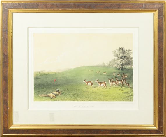 George Catlin | George Catlin Lithograph, Antelope Shooting (1844 ...