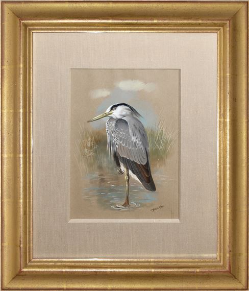 Basil Ede | Basil Ede Signed Watercolor, Adult Grey Heron (20th Century ...