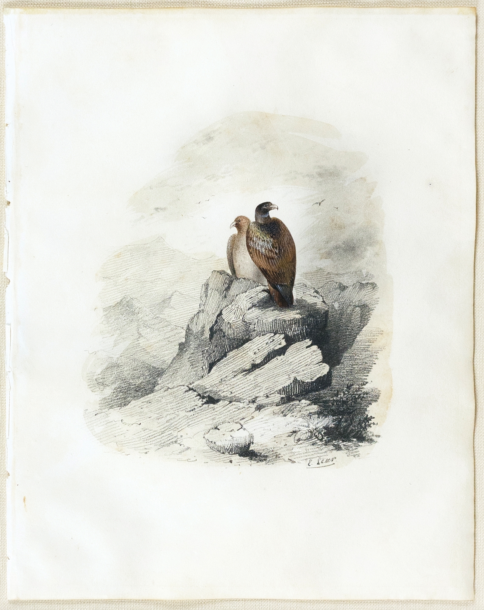 Edward Lear | Edward Lear Signed Watercolor, Eagles (Circa 1830 ...