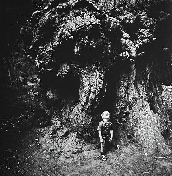 Arthur Tress | Pull Out Tree Burn in Boys Face (Circa 1970) | MutualArt