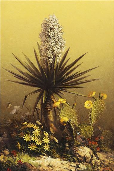 Dalhart Windberg | Blooms Amid Thorns (yucca and cactus flowers with ...