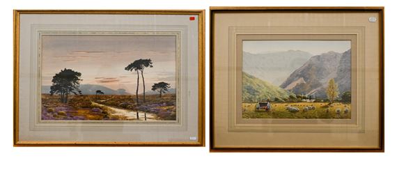 Douglas Bower | Sheep in a valley | MutualArt