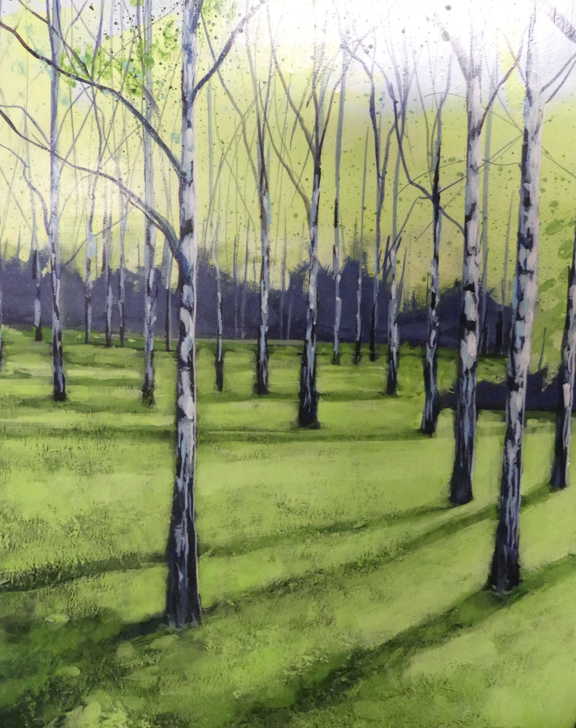 Debbie Baxter | Silver Birch Lawn | MutualArt