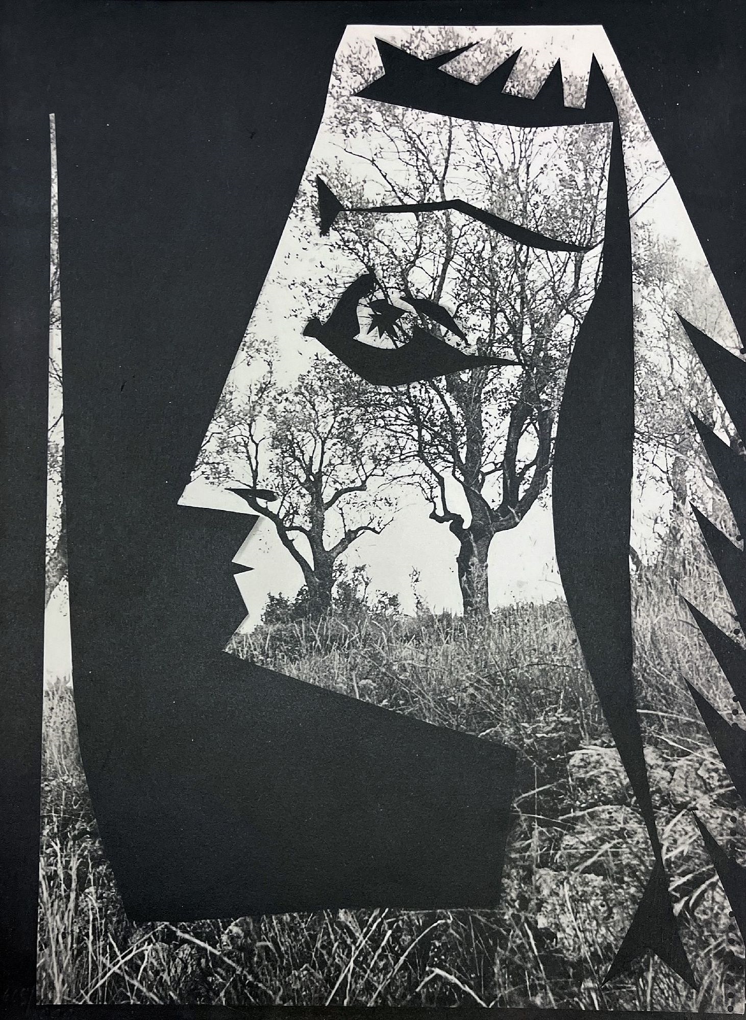 Pablo Picasso | Jacqueline with trees (1962) | MutualArt