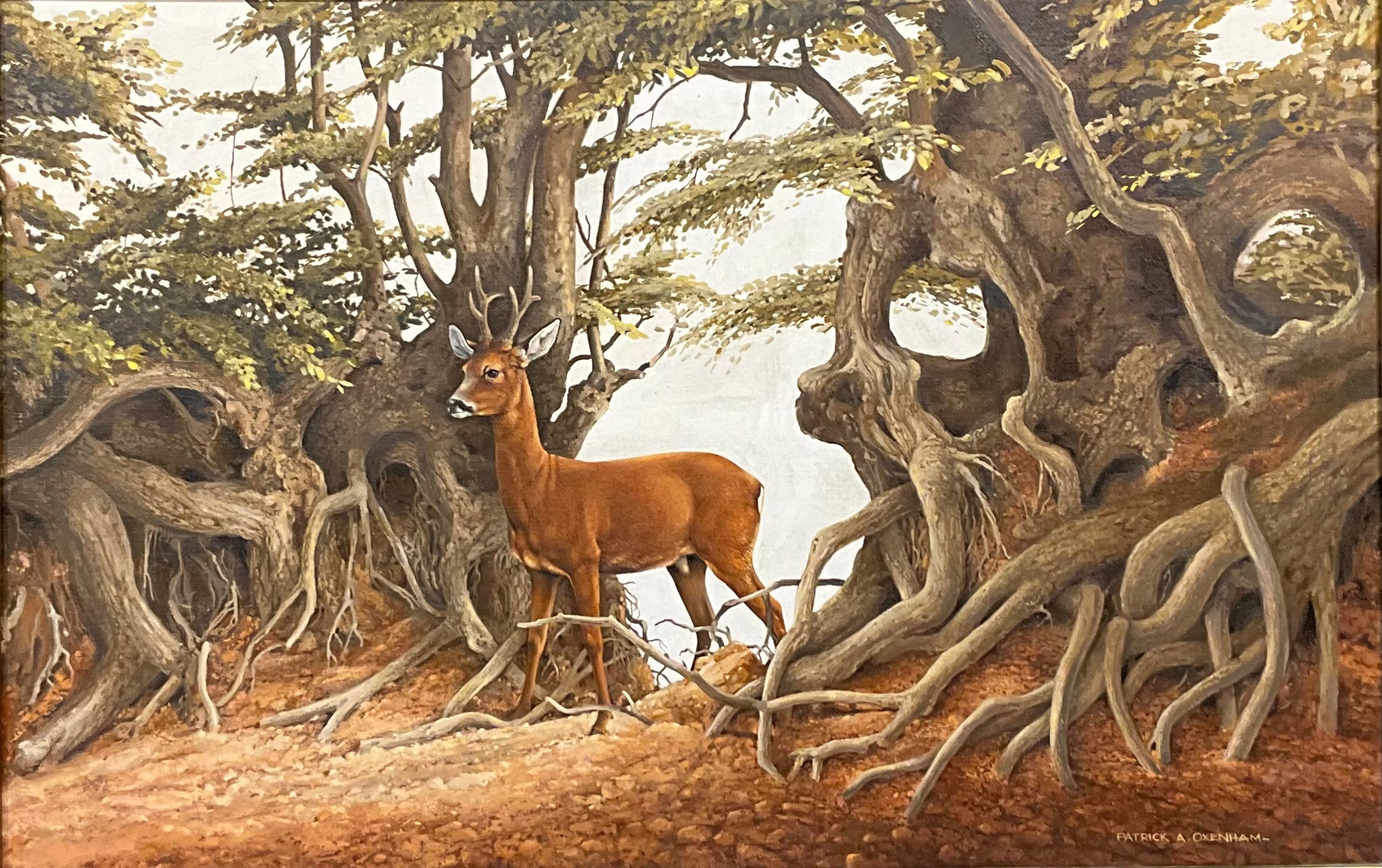 Patrick Oxenham | Deer in a Clearing | MutualArt