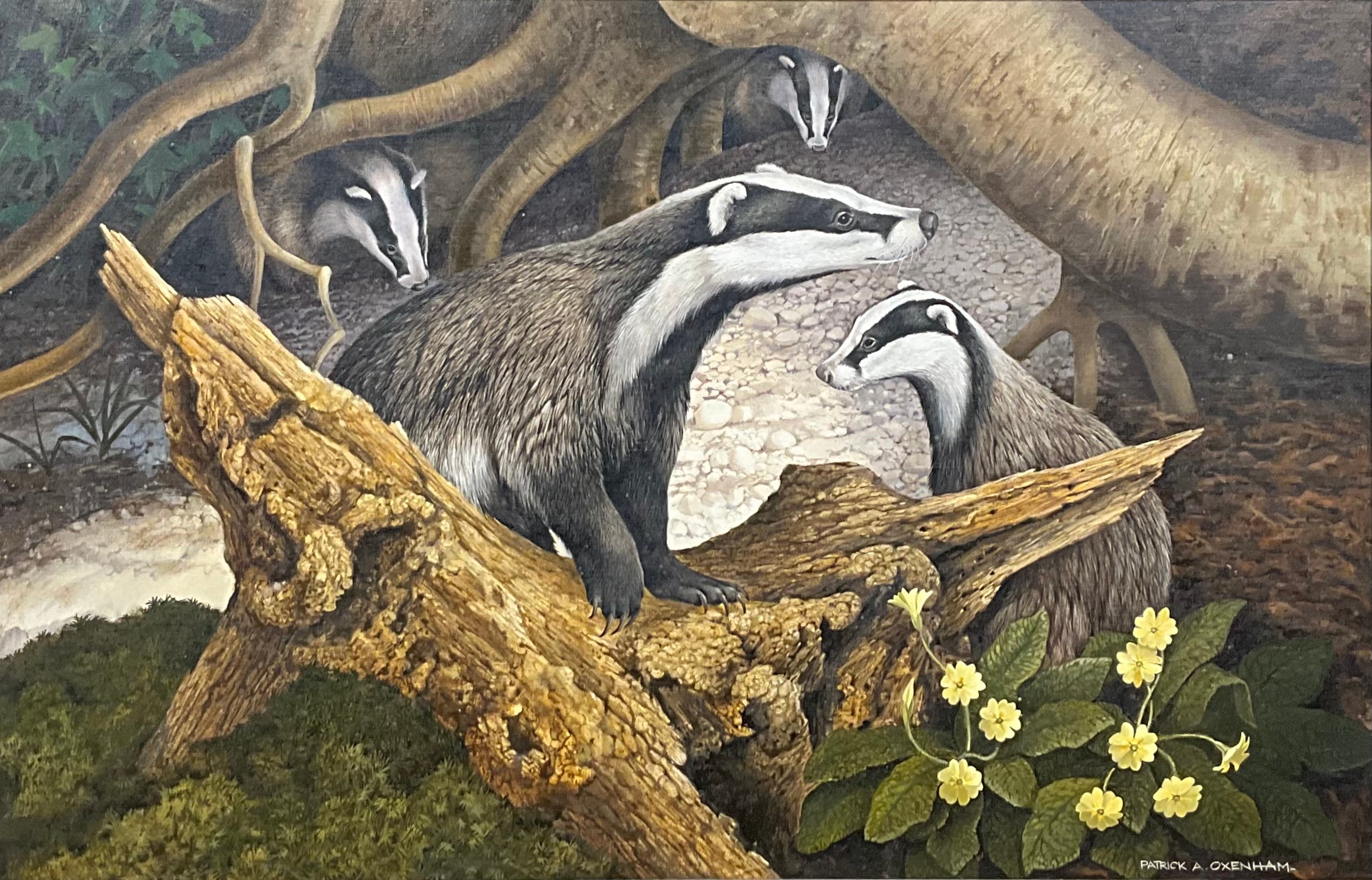 Patrick Oxenham | The Badger Sett | MutualArt