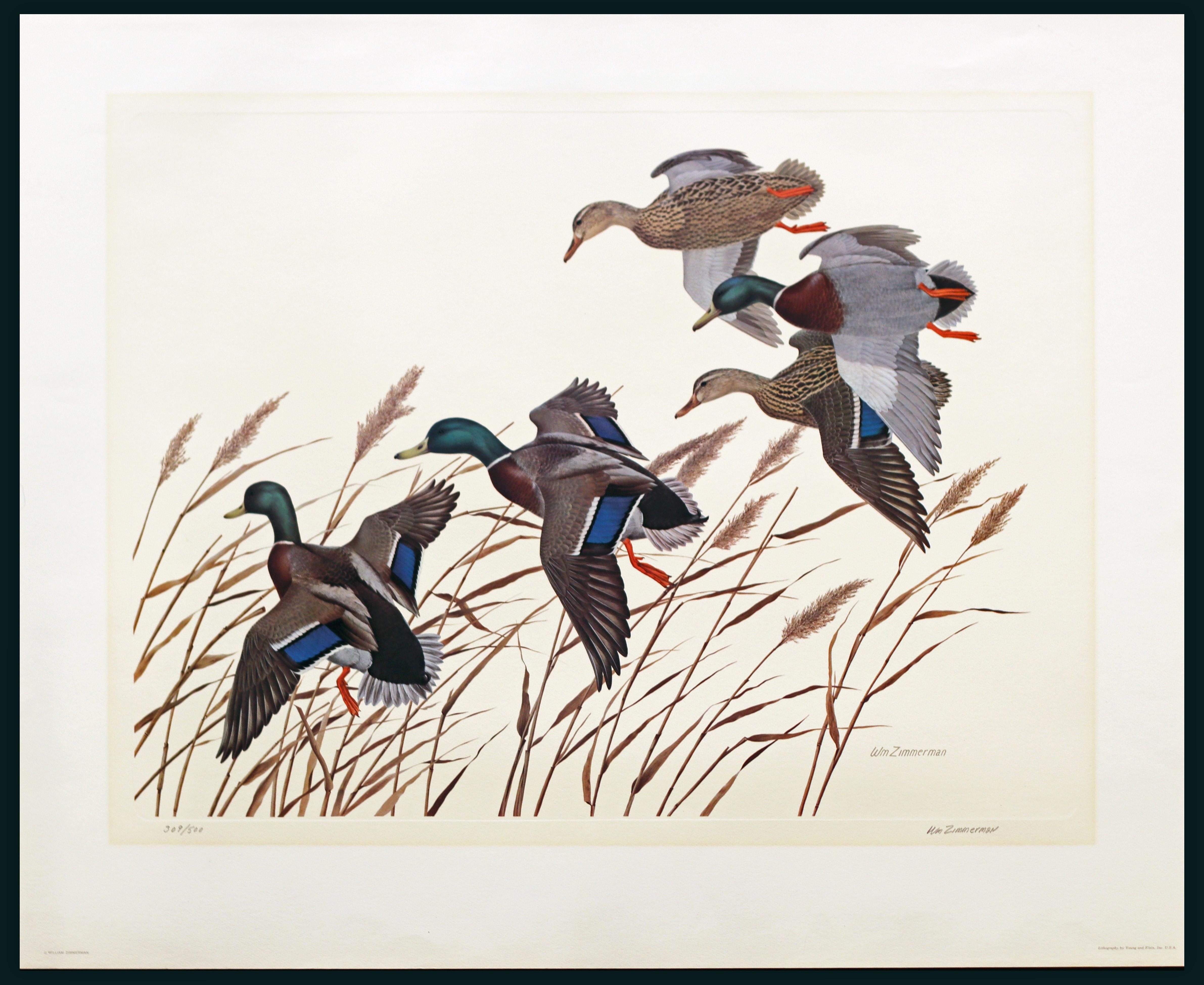 William Harold Zimmerman | Mallard Ducks | MutualArt