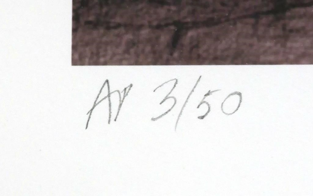 Zdzisław Beksiński | ZDZISLAW BEKSINSKI, Signed Landscape Print | MutualArt