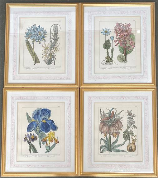 Francis Sansom | a set of four hand coloured reproduction botanical ...