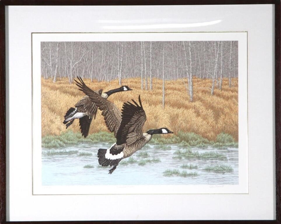 Chris Forrest | GEESE LANDING | MutualArt