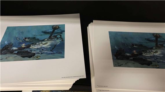 Stanley Meltzoff | Fish | MutualArt