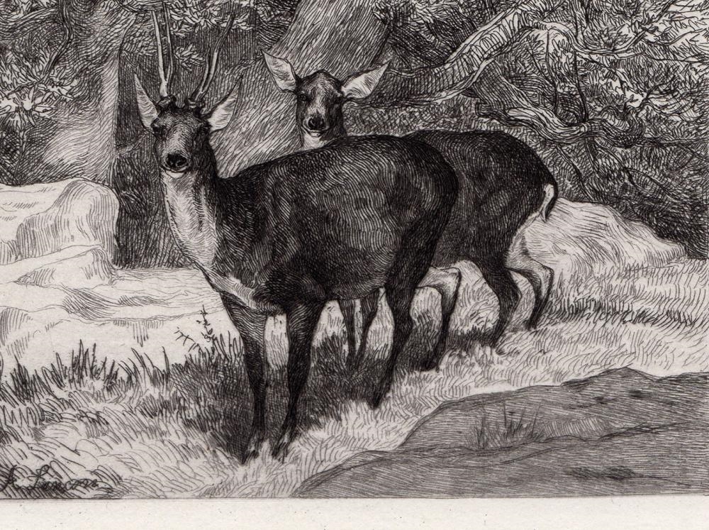 Auguste Lançon | Auguste Andre Lancon 1874 etching Roebucks signed ...