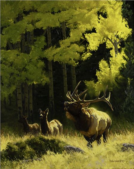Dustin Van Wechel | Bugling Bull Elk (2011) | MutualArt