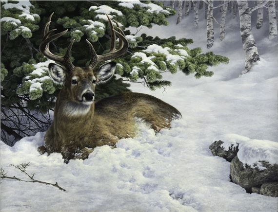 Jorge Mayol | Echo from the Hills (1997) | MutualArt