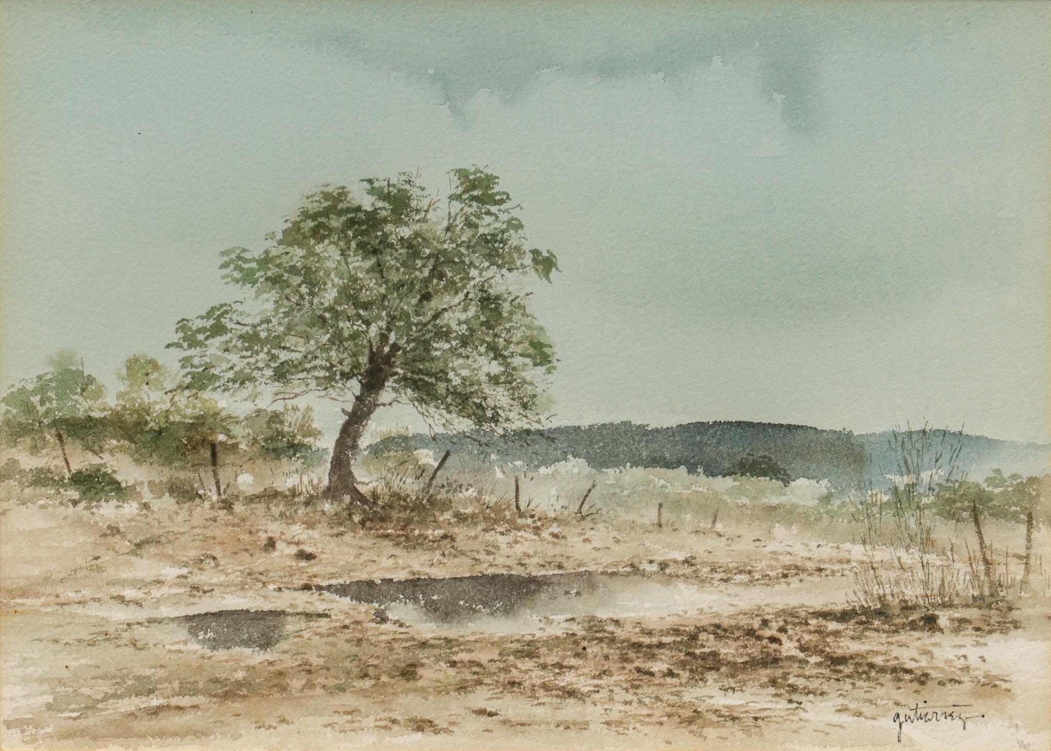 Raul Gutierrez | Hill Country Landscape | MutualArt