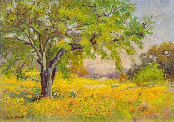 Santa Duran | Nature's Colors | MutualArt