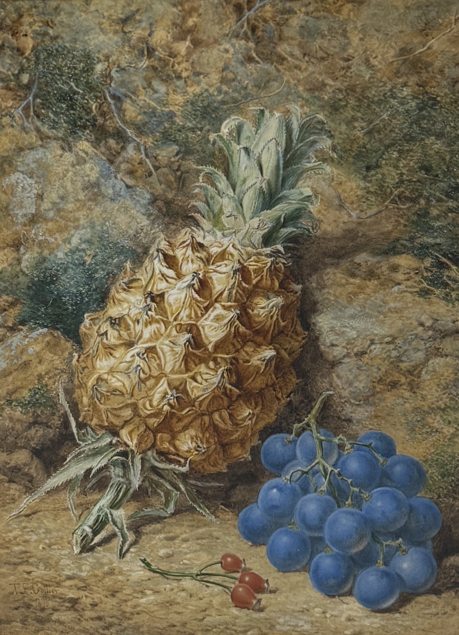 Thomas Frederick Collier | A STILL LIFE WITH PINEAPPLE AND GRAPES ...