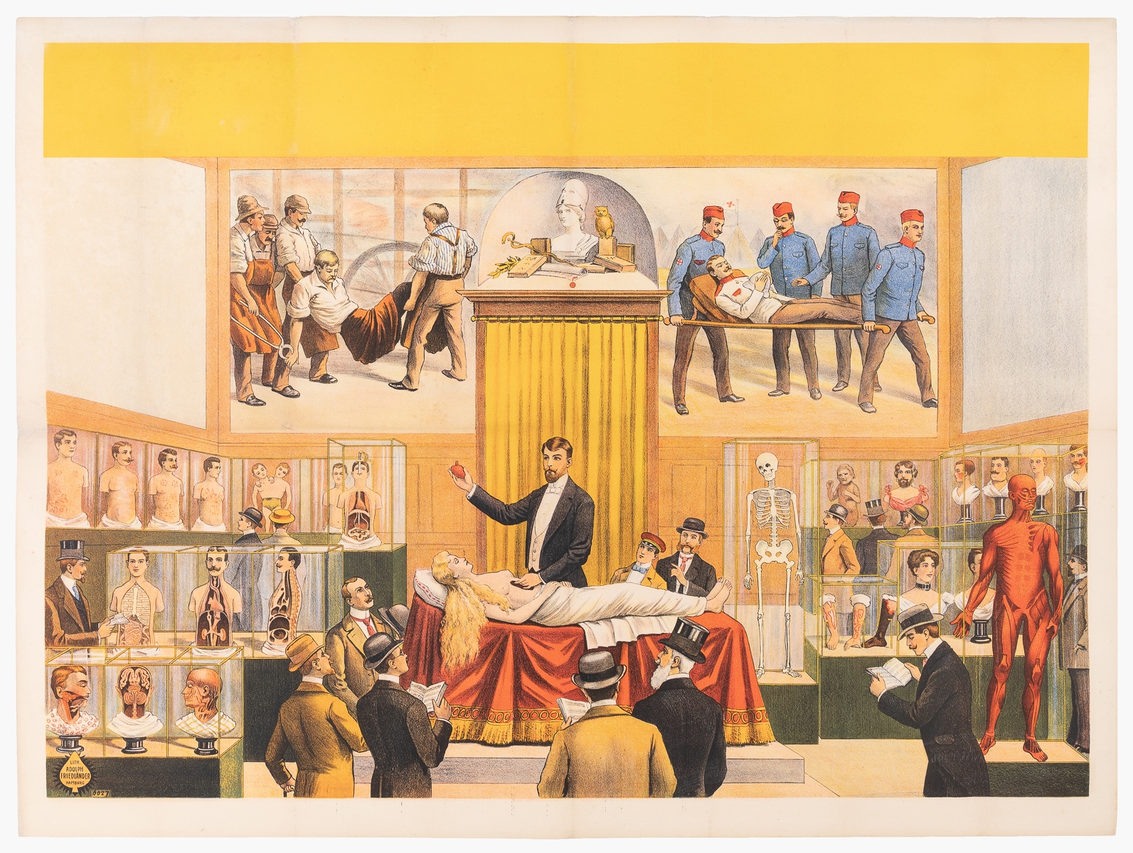 Adolph Friedländer | Anatomical Oddities / Medical Autopsy Stock Poster ...