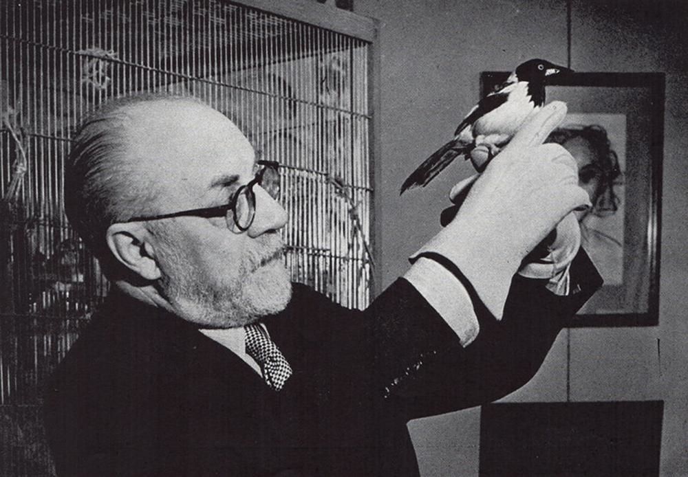 Brassaï | Brassai Henri Matisse's Aviary in his Paris Studio 1930's ...