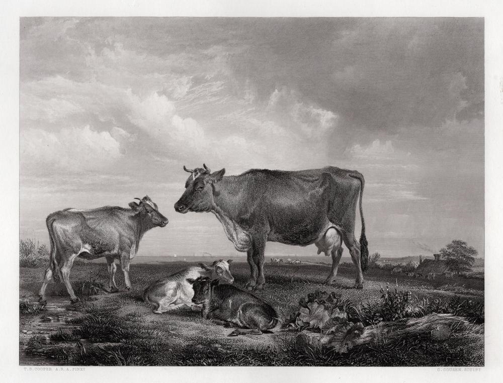 Thomas Sidney Cooper | Pastoral Landscape | MutualArt