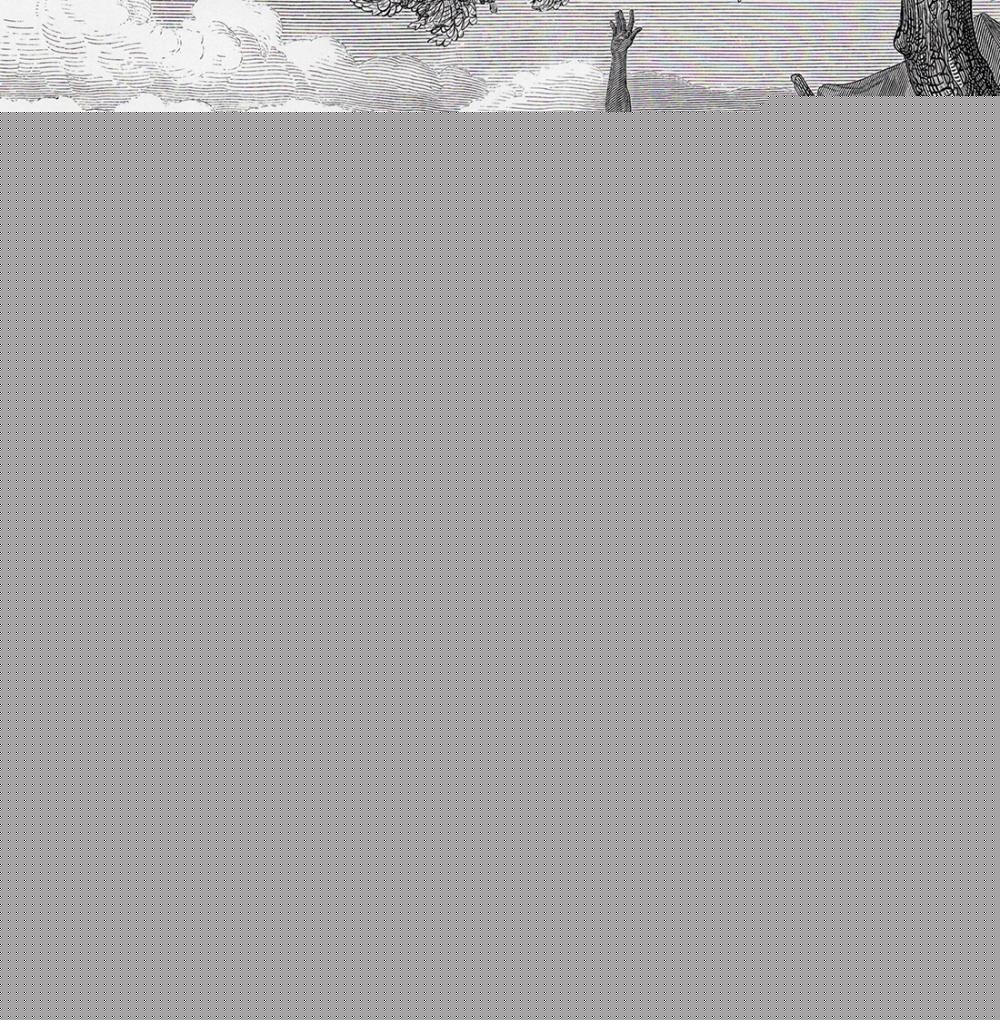 Gustave Doré | Gustave Dore 1800s Religious Woodcut Noah Curses Ham ...