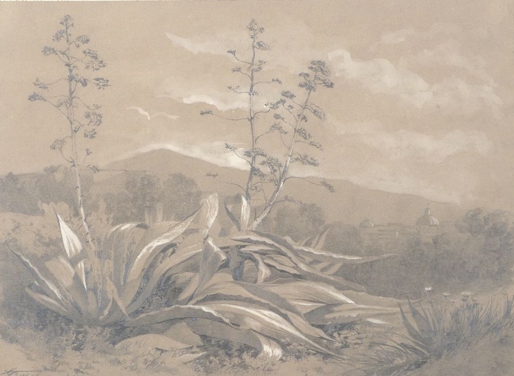 Giuseppe Barison | Paesaggio | MutualArt