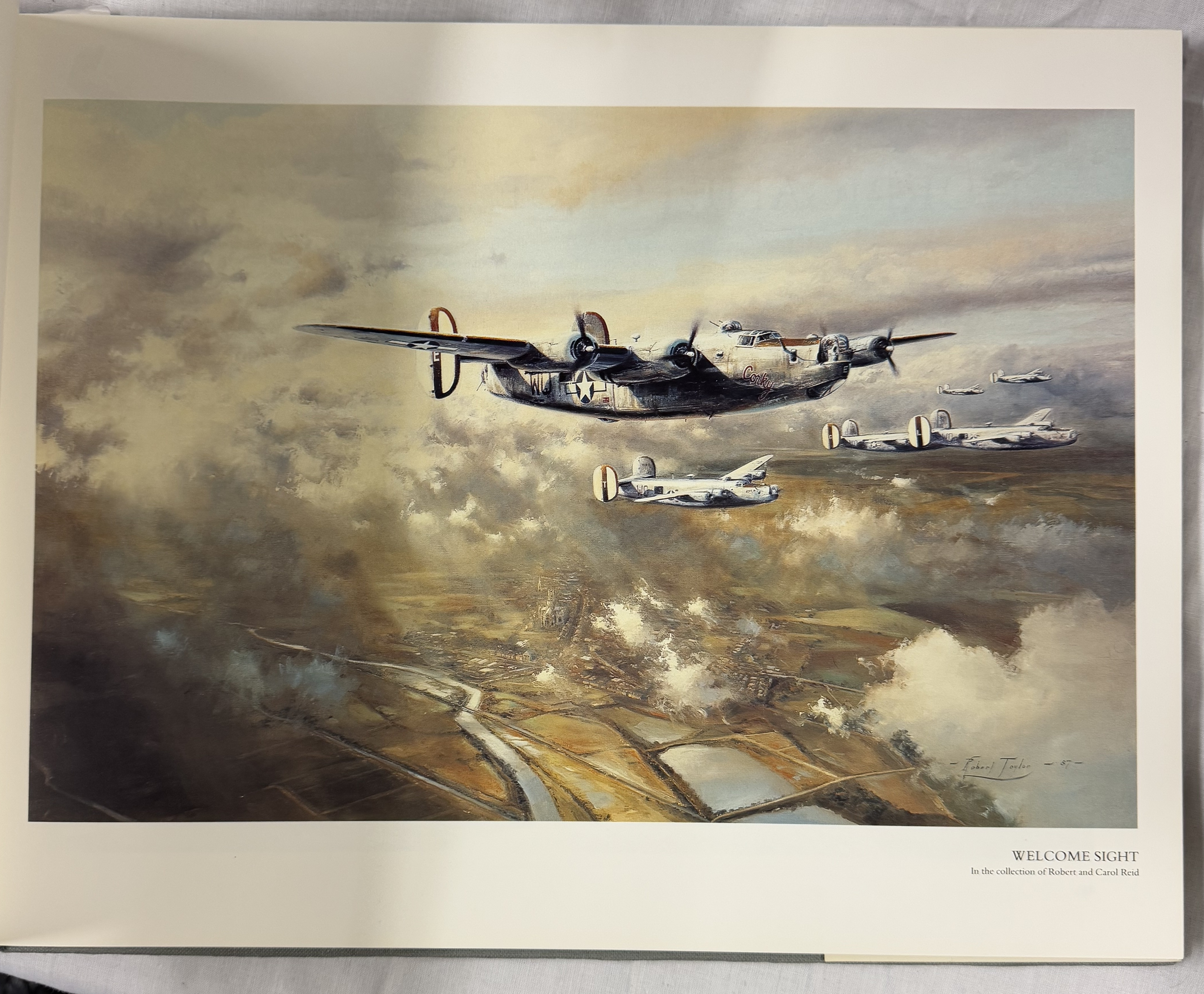 Robert Taylor | A Robert Taylor Air Combat Paintings Volume II book ...