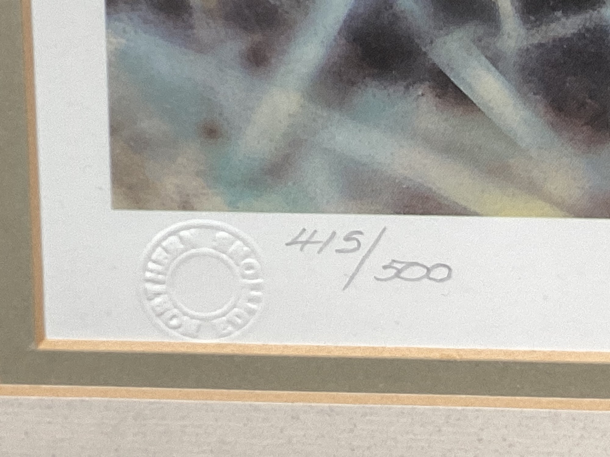 Steven Townsend | pencil signed limited edition print of a leopard cub ...