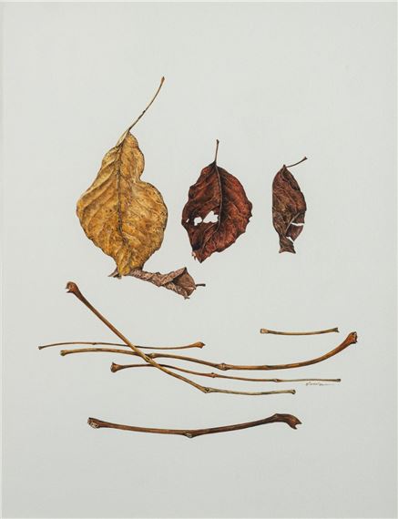 Kate Nessler | Four Leaves with Stems - Watercolour | MutualArt