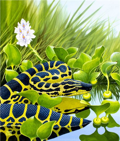 Chuck Ripper | Yellow Anaconda (1999) | MutualArt