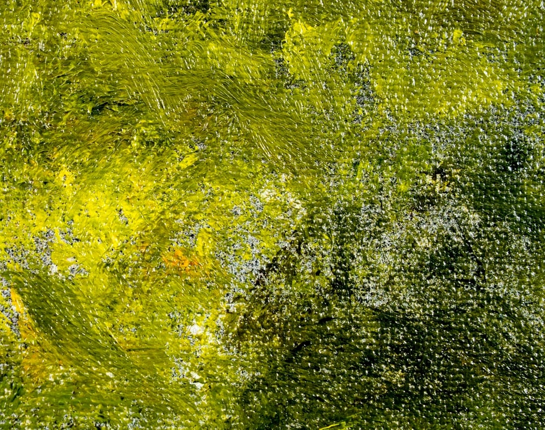 Ron Williams | Sunset Forest Lake Landscape | MutualArt