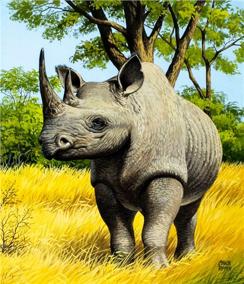 Chuck Ripper | Black Rhinoceros (1994) | MutualArt