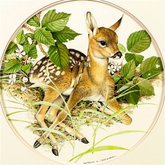 Patrick Oxenham | Roedeer Fawn with Grasshopper (1983) | MutualArt