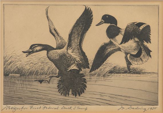 Jay Norwood Darling | Design For First Federal Duck Stamp (1934 ...