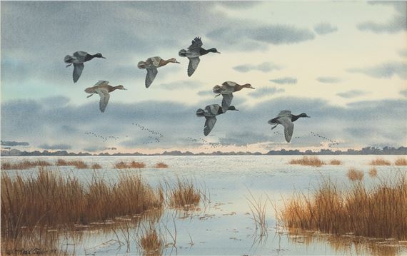 William Redd Taylor | Bluebills (1975) | MutualArt